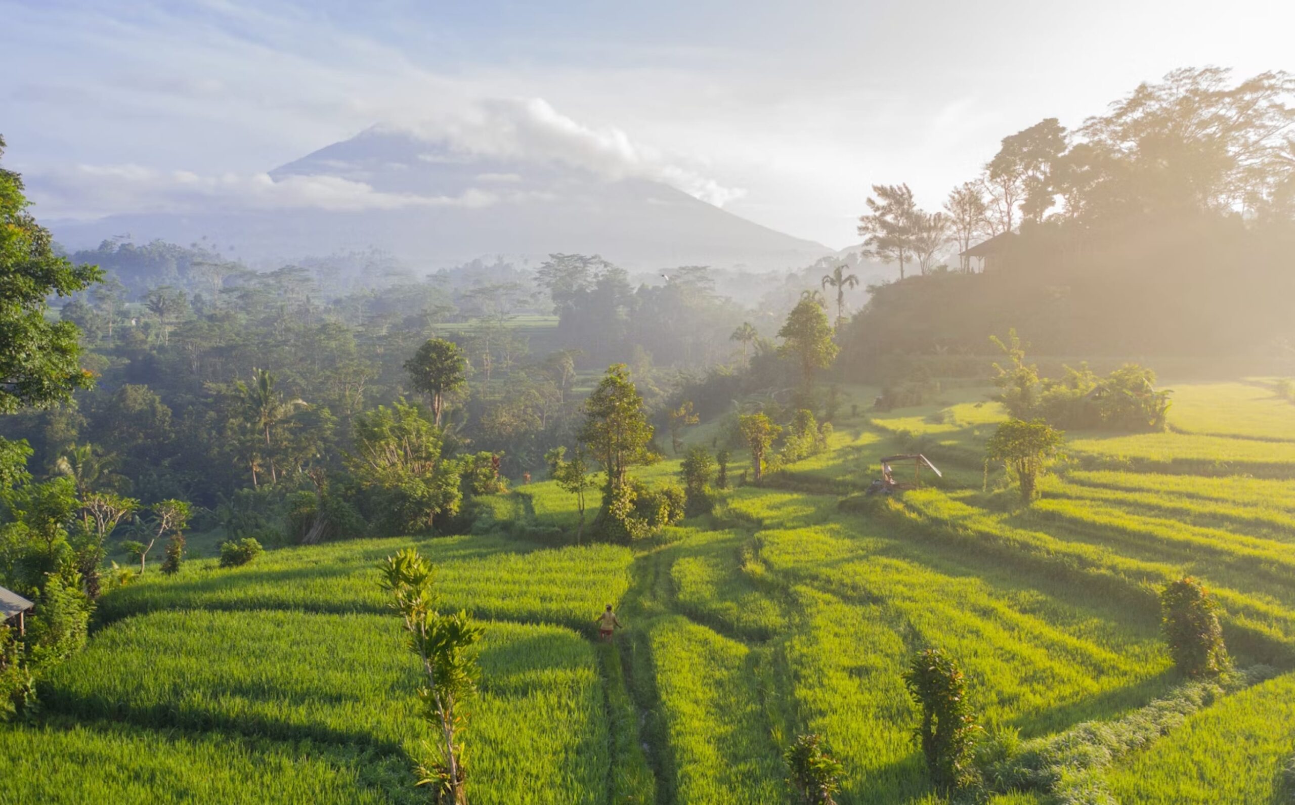 Bali flooding: Is It Safe to travel to Bali right now 2026? - The Ridge ...